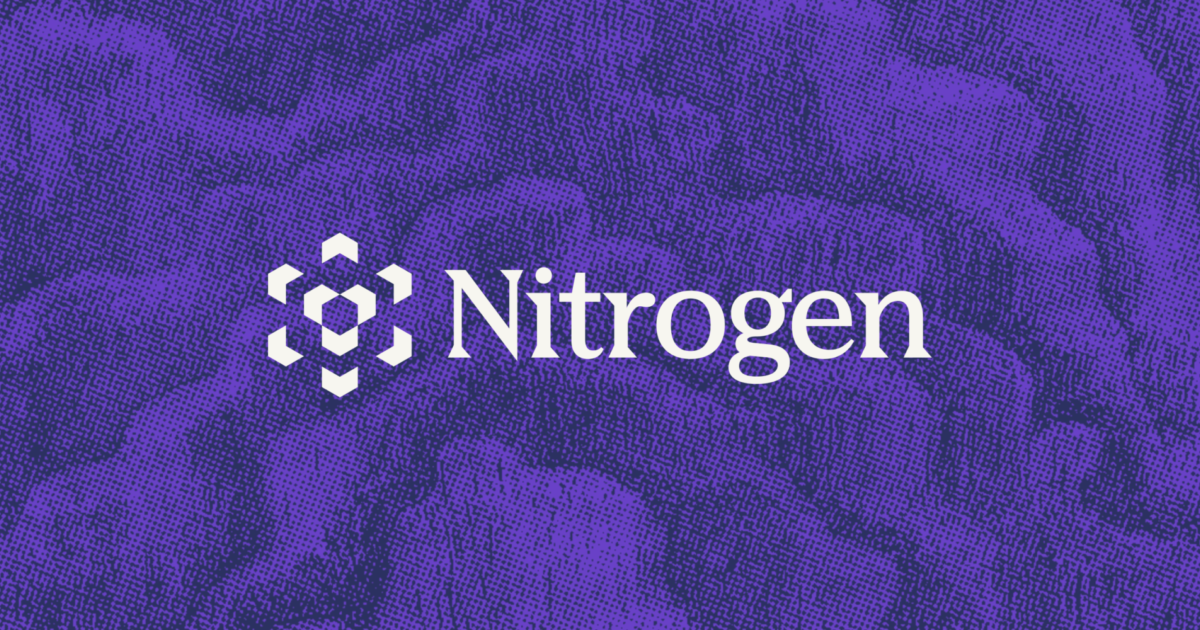 Nitrogen Brand Strategy, Identity & Web Design | Focus Lab®